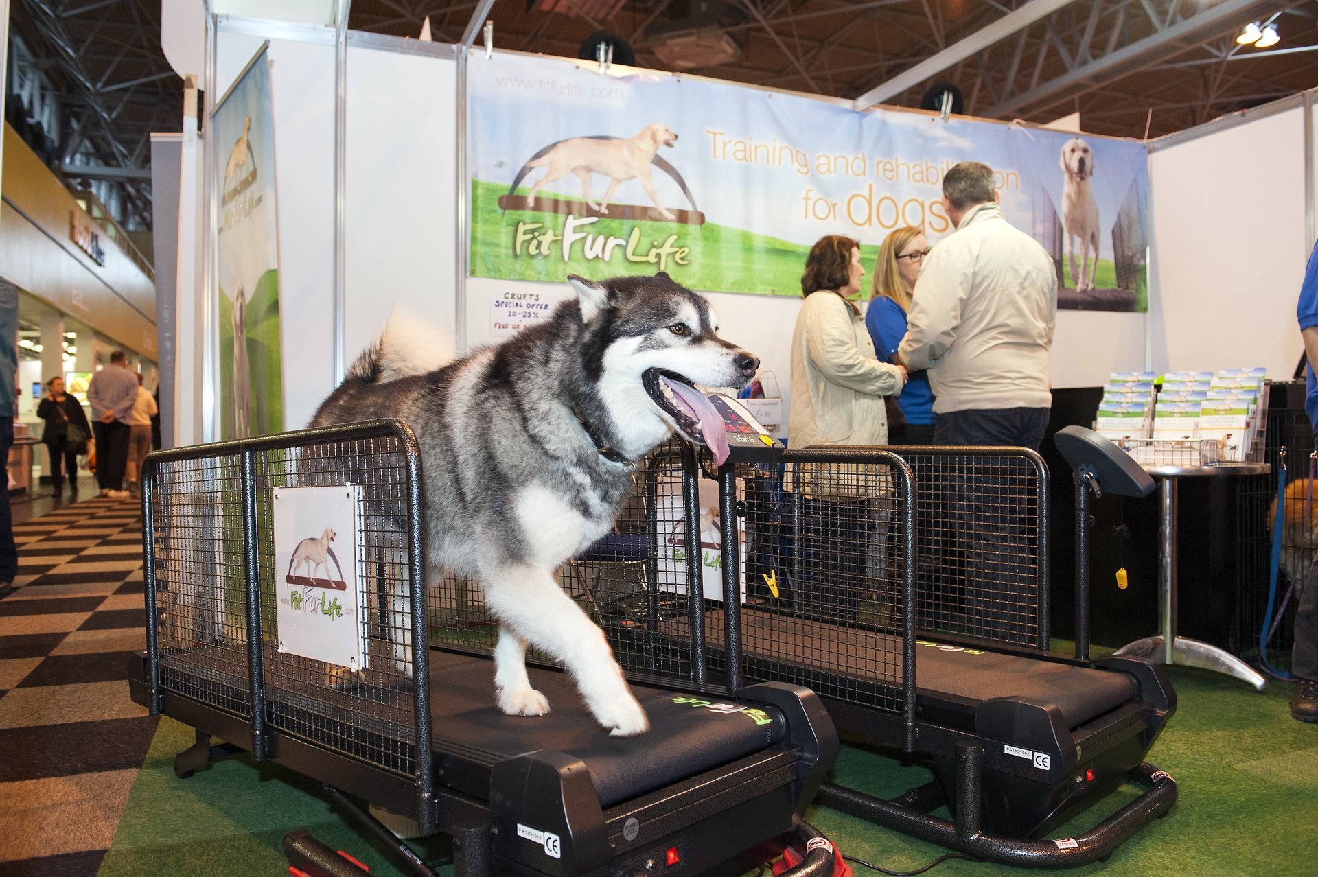 Fit Fur Life - Innovative & Resilient Treadmills For Dogs